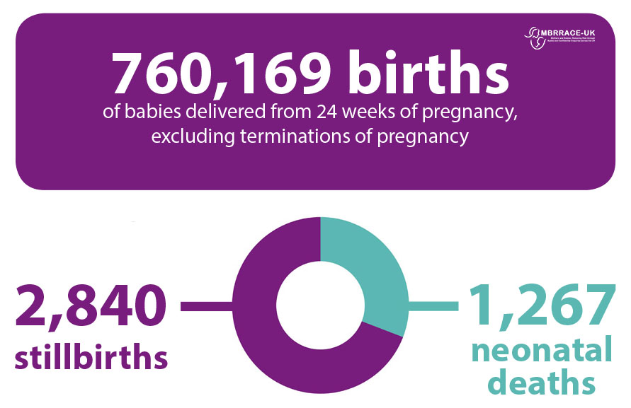 A milestone in understanding why babies die in the UK | Sands ...
